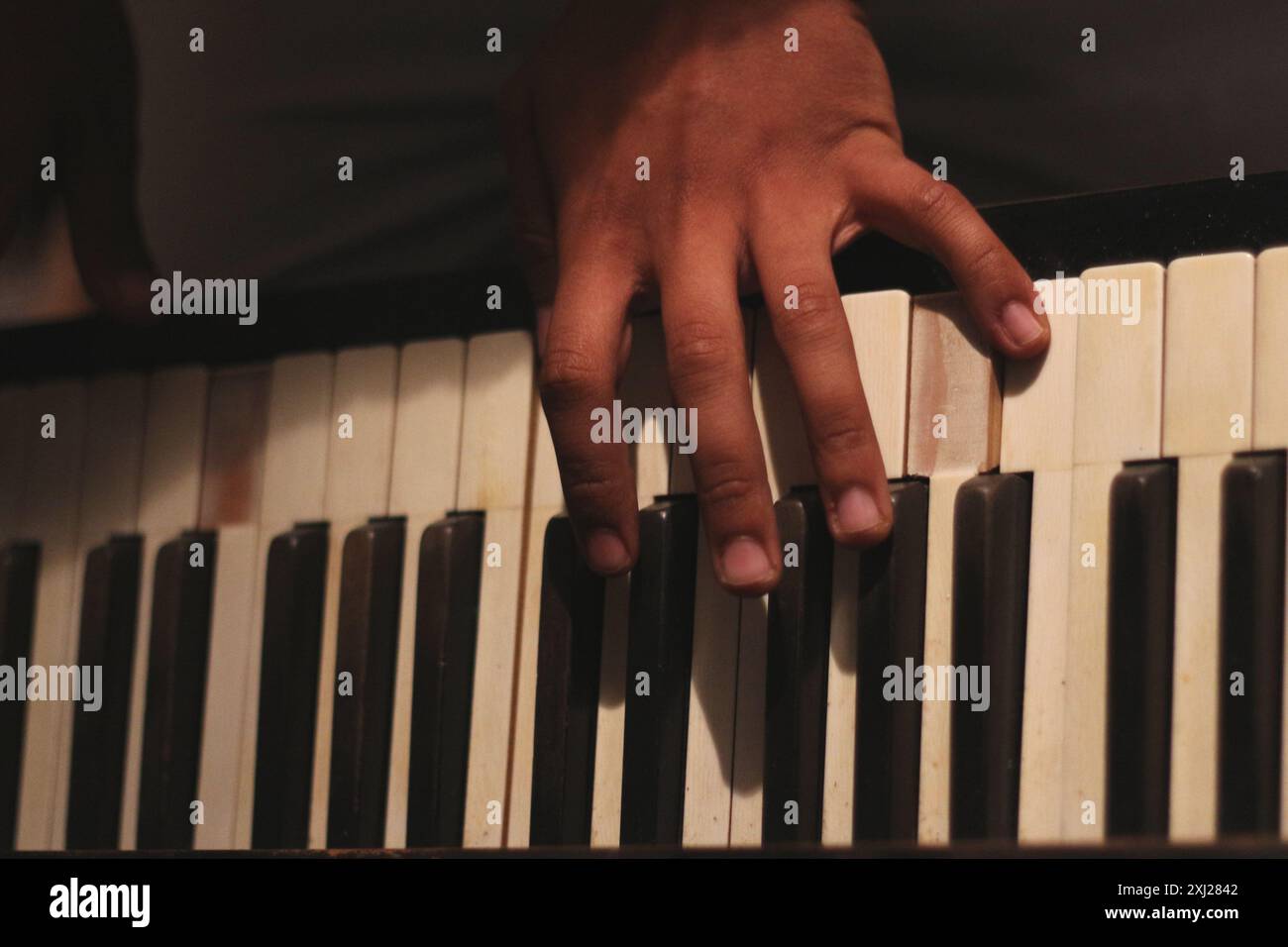 Captivating music performance hi-res stock photography and images - Alamy