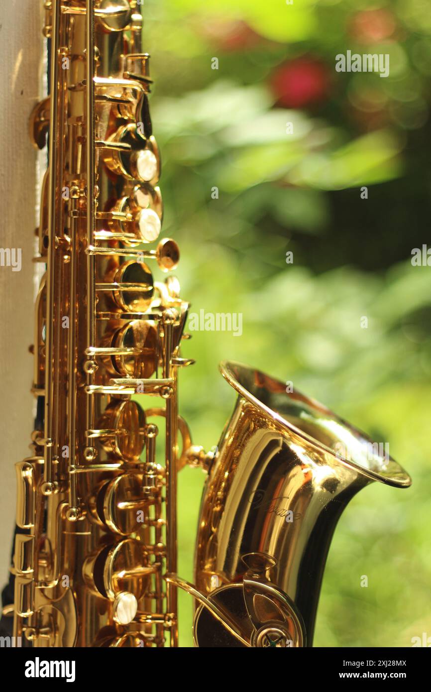 A stunning image of an alto saxophone captured with a wide aperture ...