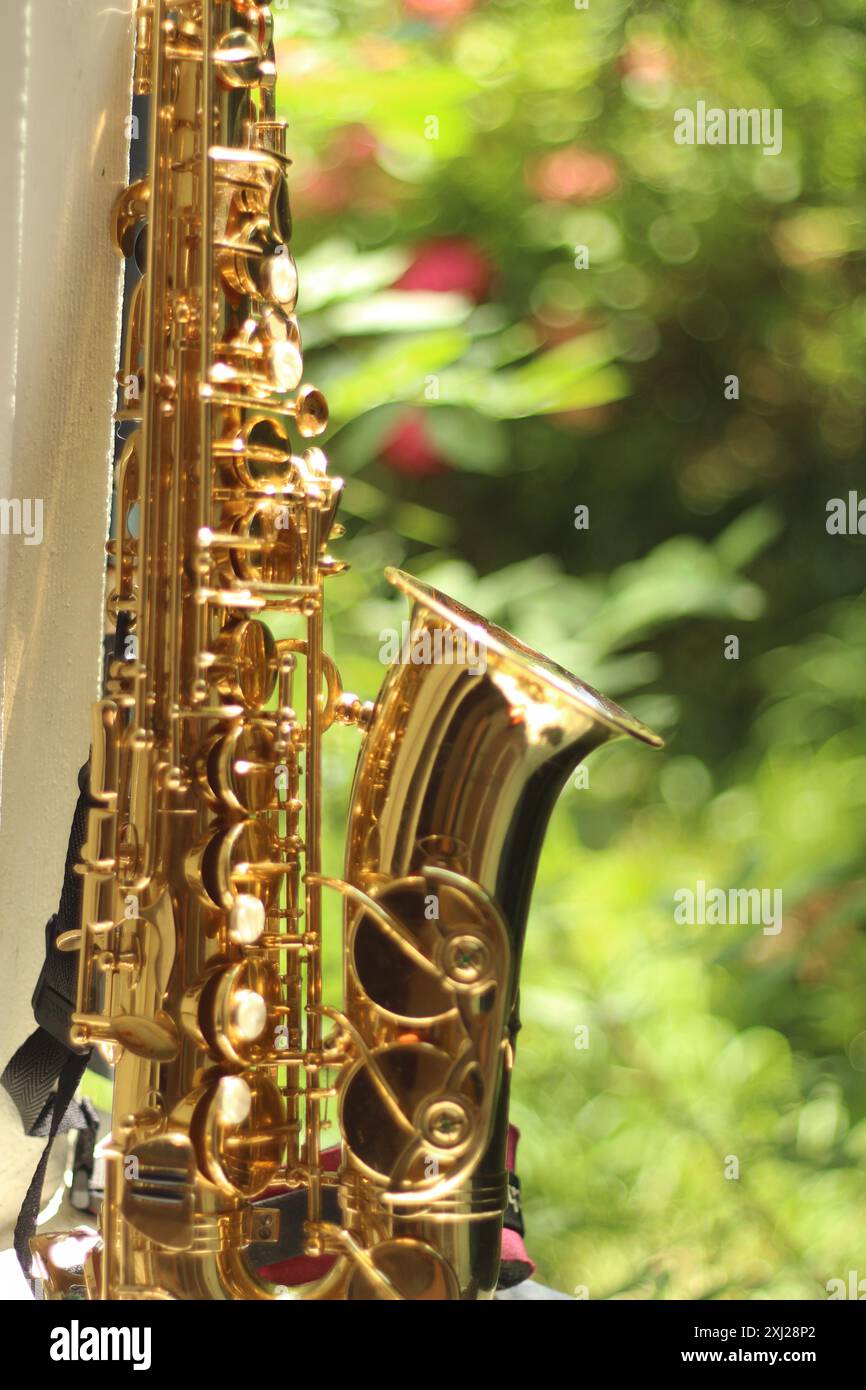 A stunning image of an alto saxophone captured with a wide aperture ...