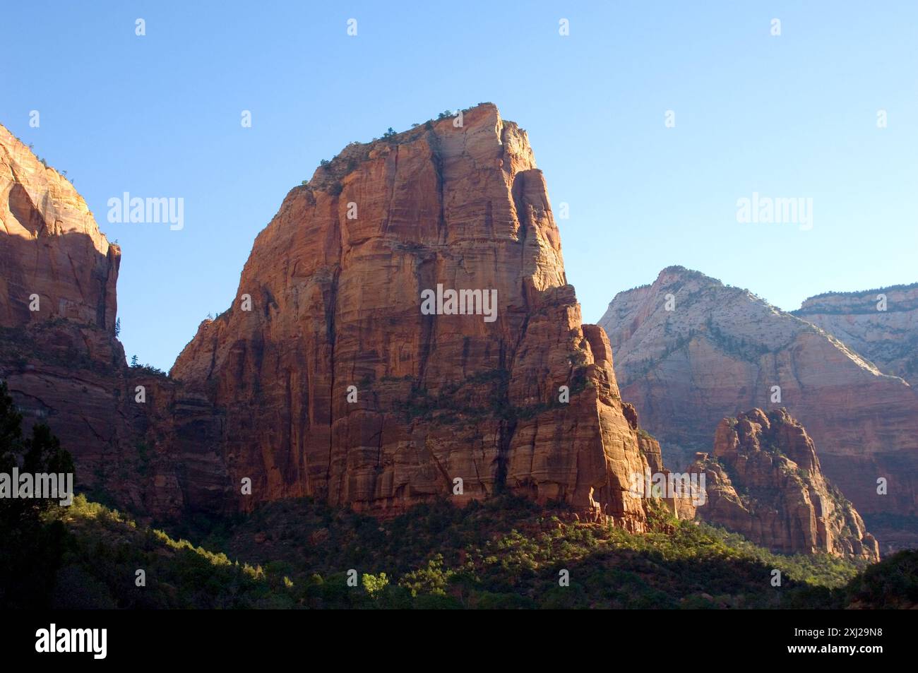 ANGELS LANDING, ZION NATIONAL PARK, SPRINGDALE, UTAH, USA: Carved into ...