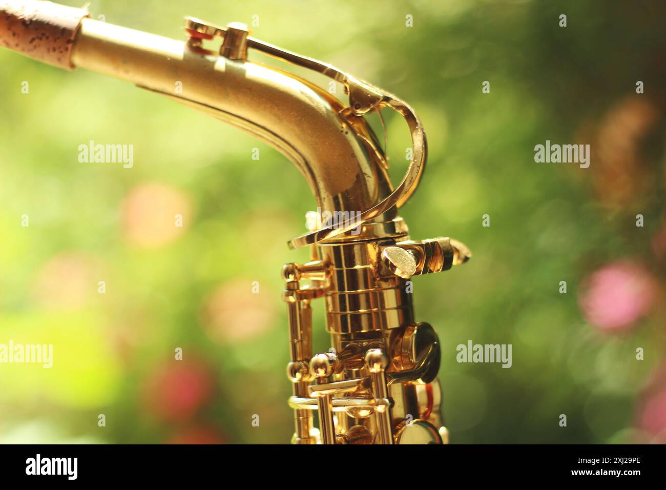 A stunning image focusing on the neck of an alto saxophone, captured ...