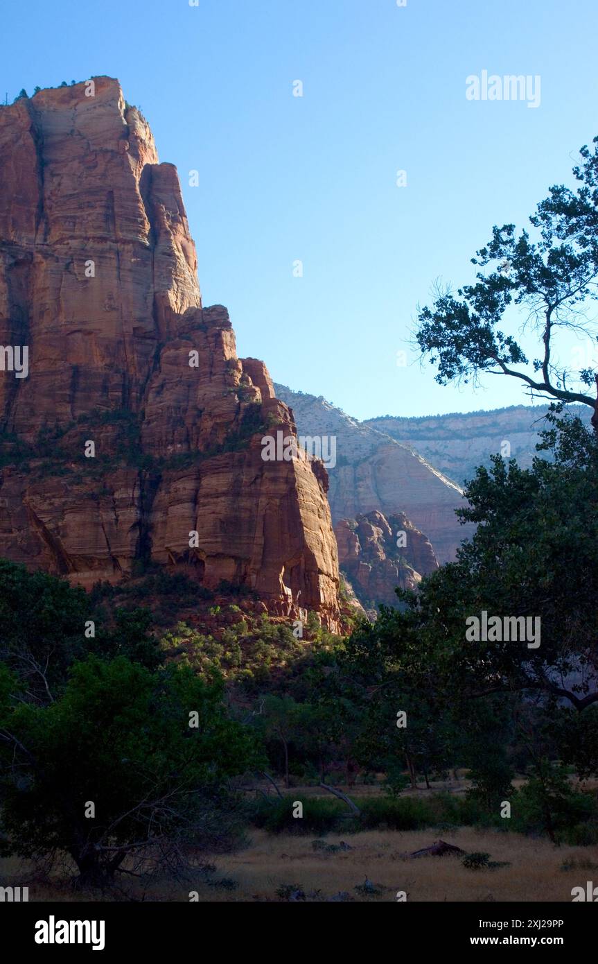 ANGELS LANDING, ZION NATIONAL PARK, SPRINGDALE, UTAH, USA: Carved into ...