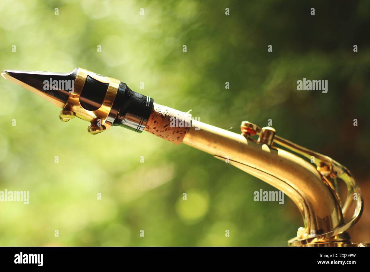 A captivating image focusing on the mouthpiece of an alto saxophone ...