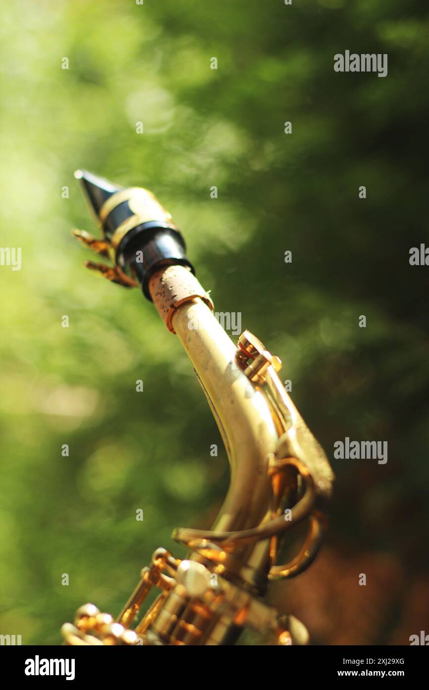 A captivating image focusing on the mouthpiece of an alto saxophone ...