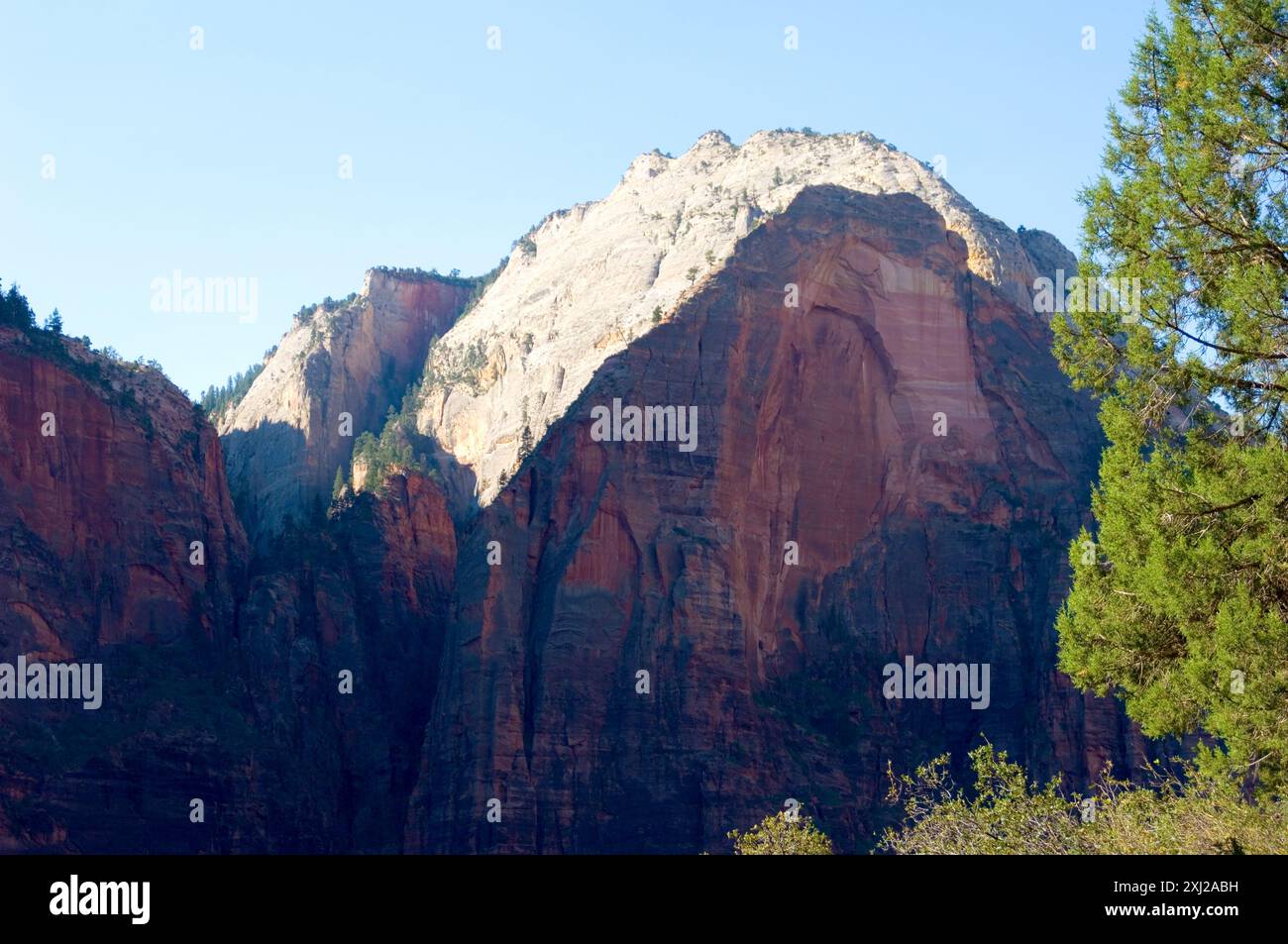 ANGELS LANDING, ZION NATIONAL PARK, SPRINGDALE, UTAH, USA: Carved into ...