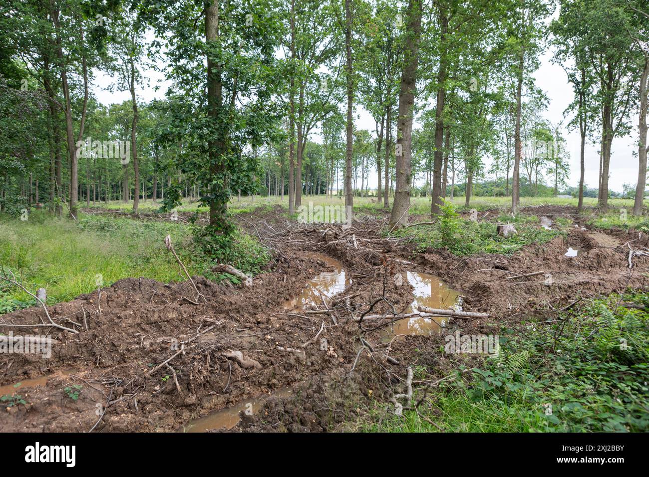 Mud ruts hi-res stock photography and images - Alamy