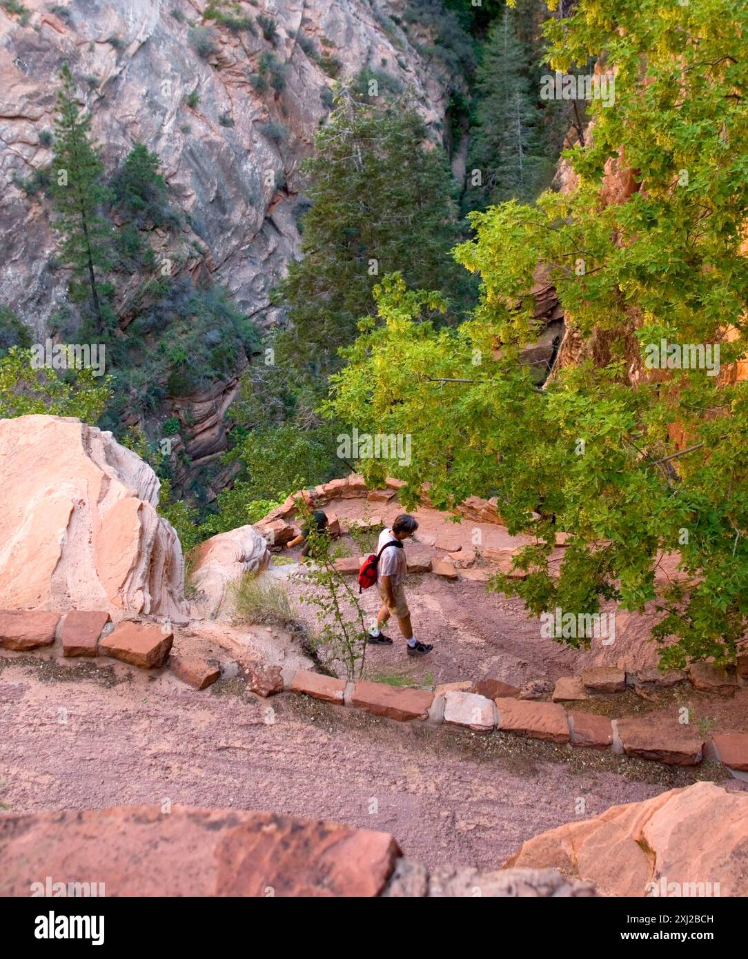 ANGELS LANDING, ZION NATIONAL PARK, SPRINGDALE, UTAH, USA: Switchbacks ...