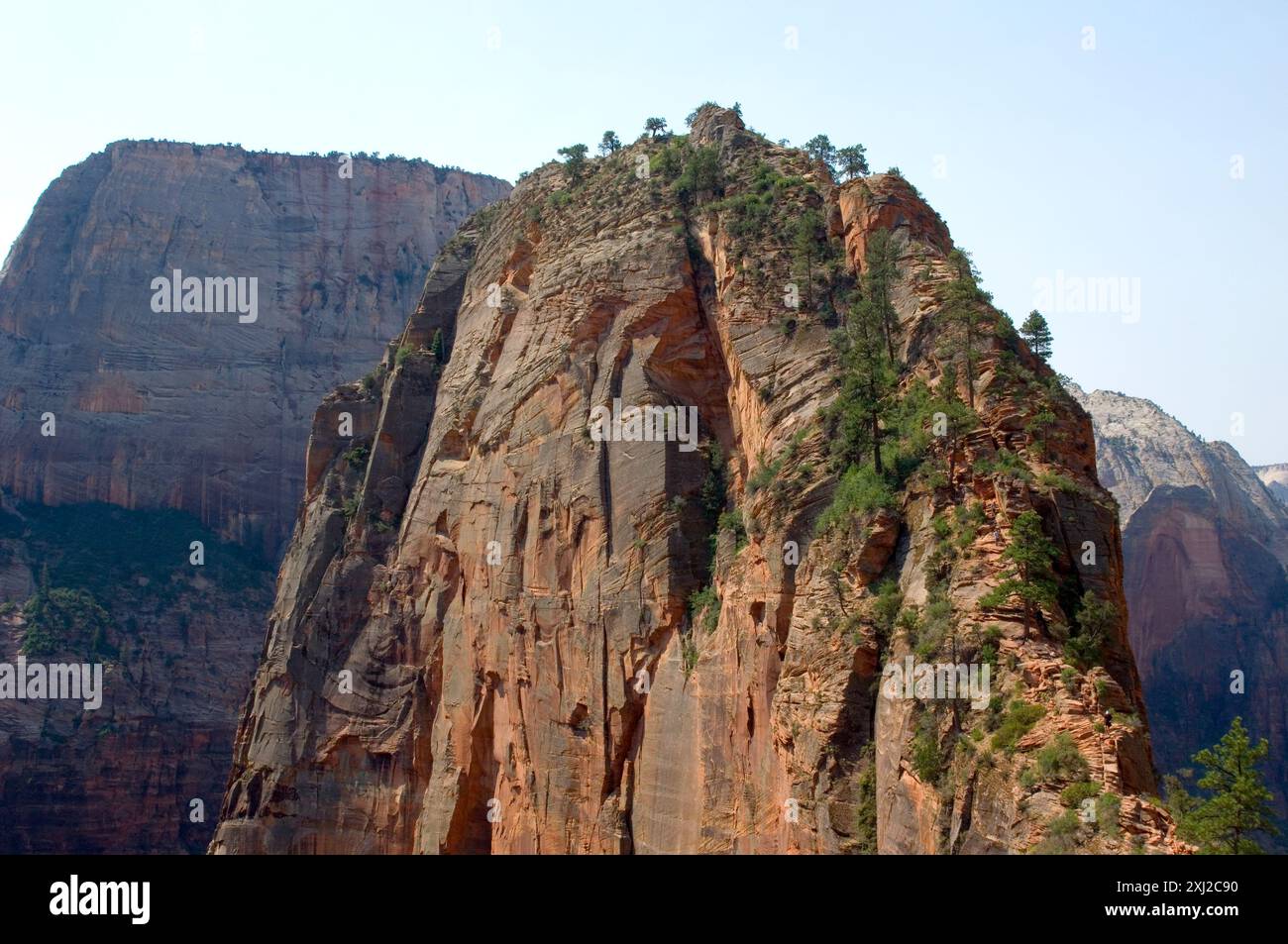 ANGELS LANDING, ZION NATIONAL PARK, SPRINGDALE, UTAH, USA: Carved into ...