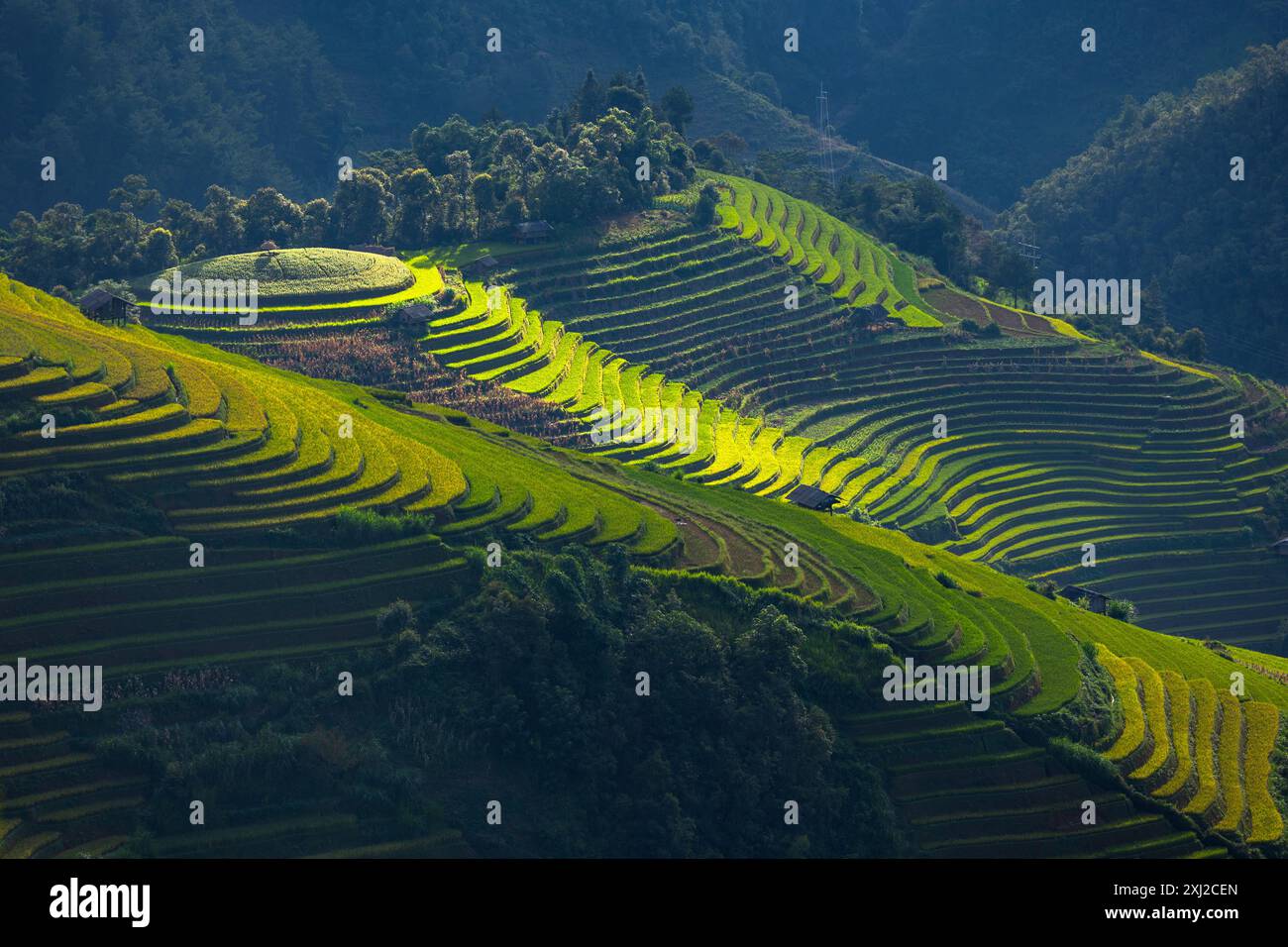 Aerial view of rice terrace field of La Pan Tan near Sapa, Vietnam ...