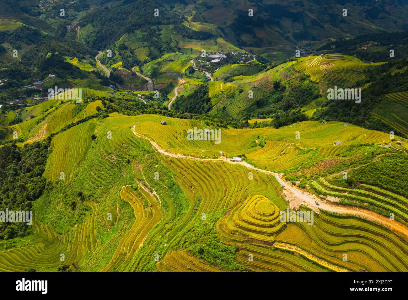 Aerial view of rice terrace field of La Pan Tan near Sapa, Vietnam ...