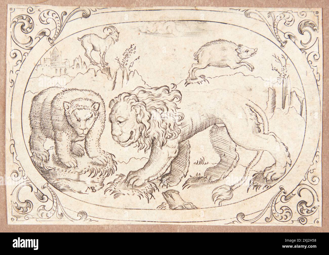 Lion with deer hi-res stock photography and images - Alamy