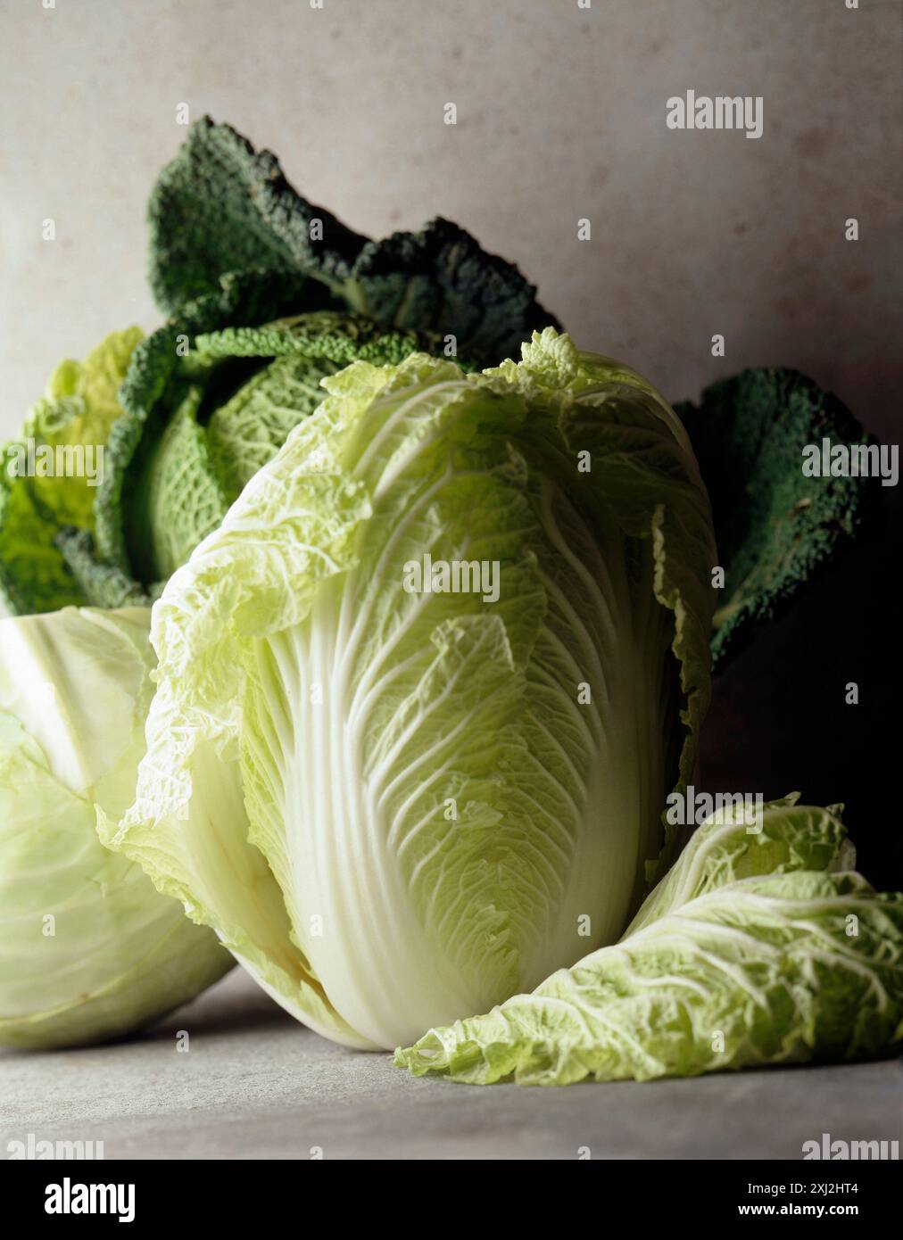 Chinese cabbage white green hi-res stock photography and images - Alamy