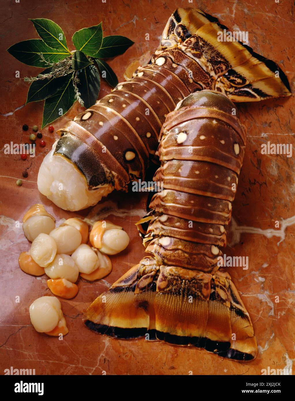 Spiny scallops hi-res stock photography and images - Alamy