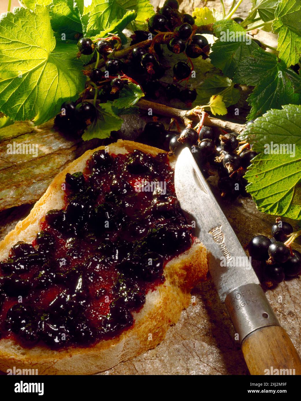 Blackcurrant jam spread on bread Stock Photo - Alamy