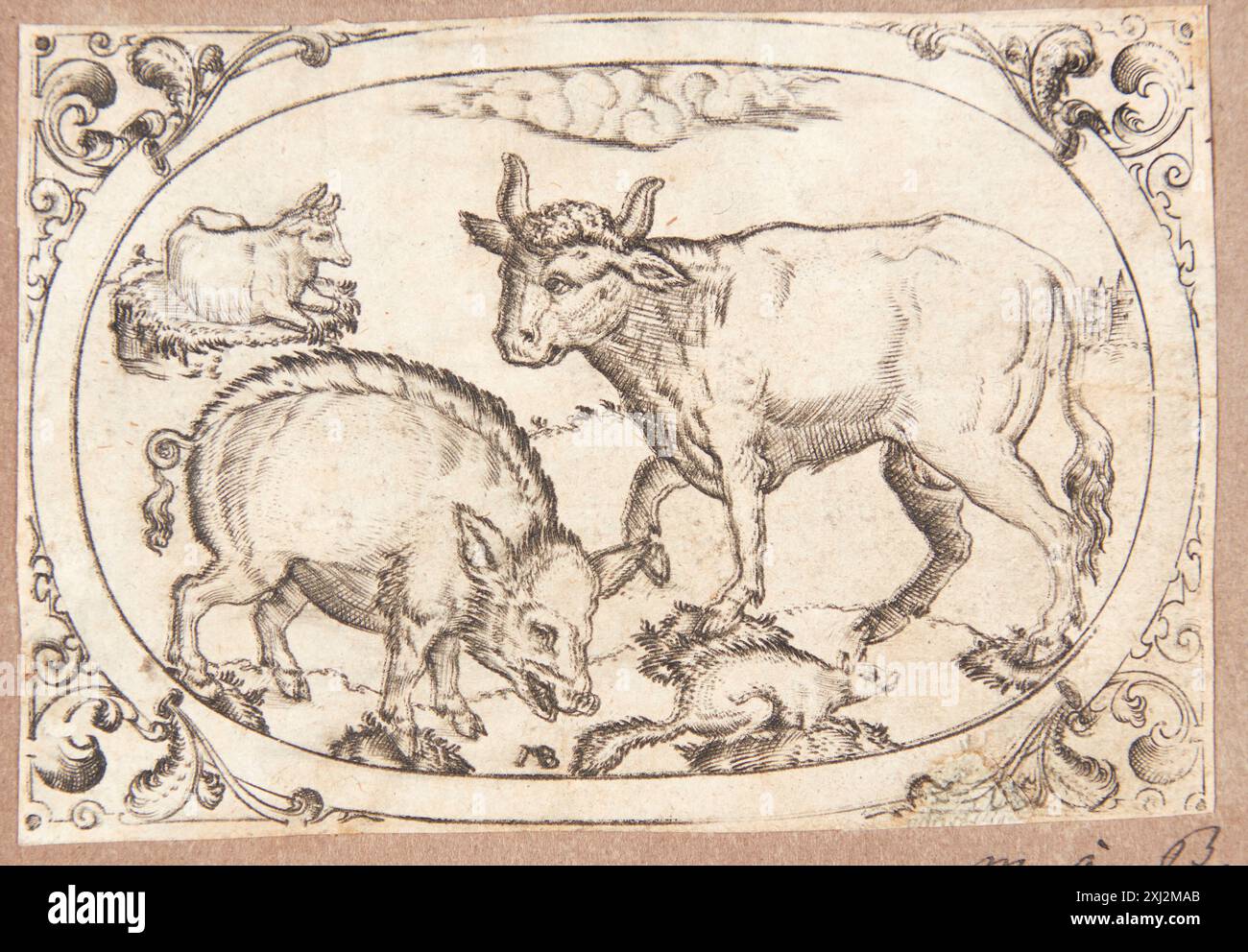 Etching by Mathias Beytler (1582–1616) depicting a wild boar, a bull ...