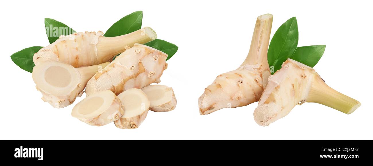 Fresh galangal root with slices isolated on white background with full ...