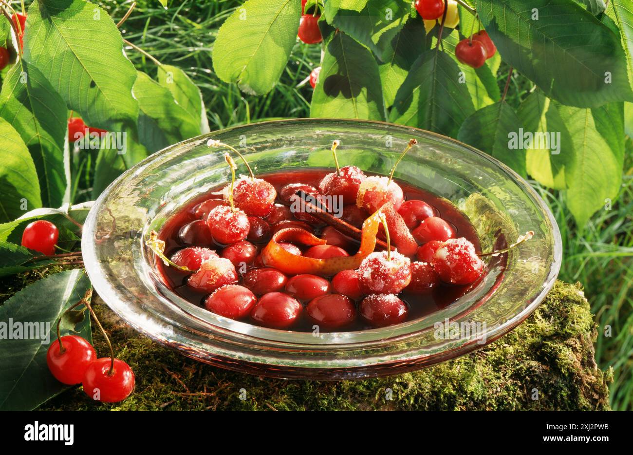 Dessert cherry fruit stick hi-res stock photography and images - Alamy