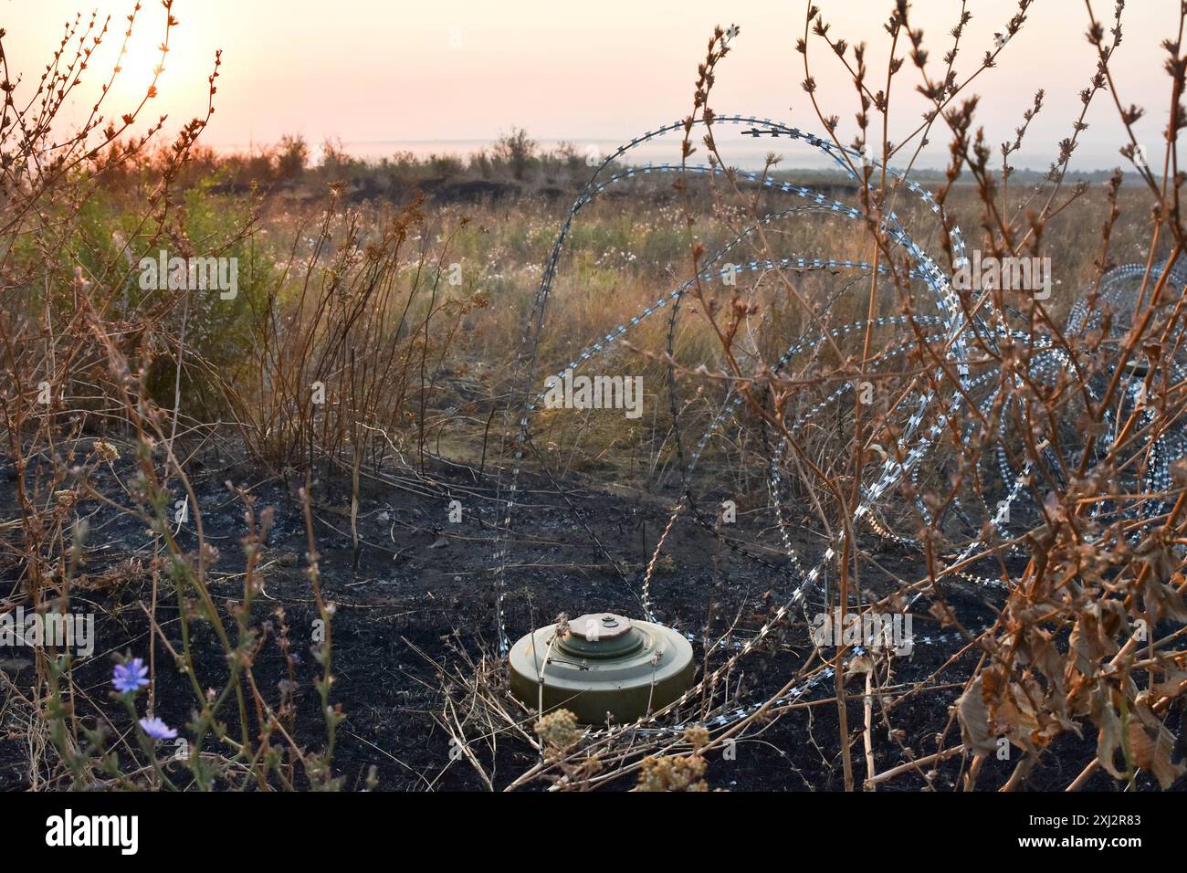 An anti-tank mines and barbed wires seen on the battlefield at the ...