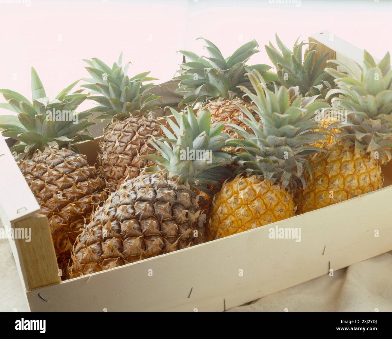 Box of pineapples hi-res stock photography and images - Alamy