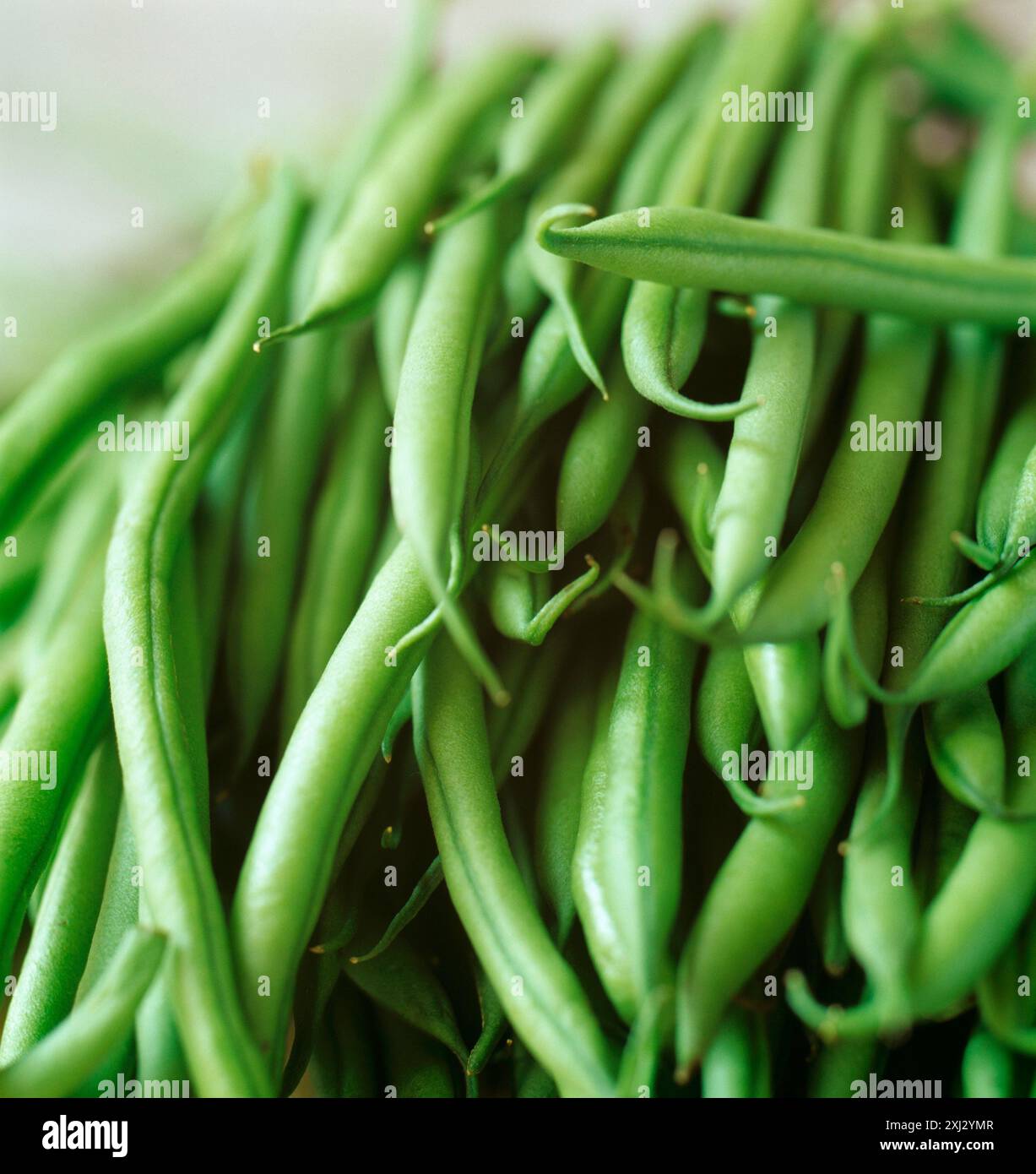 organic string beans Stock Photo - Alamy