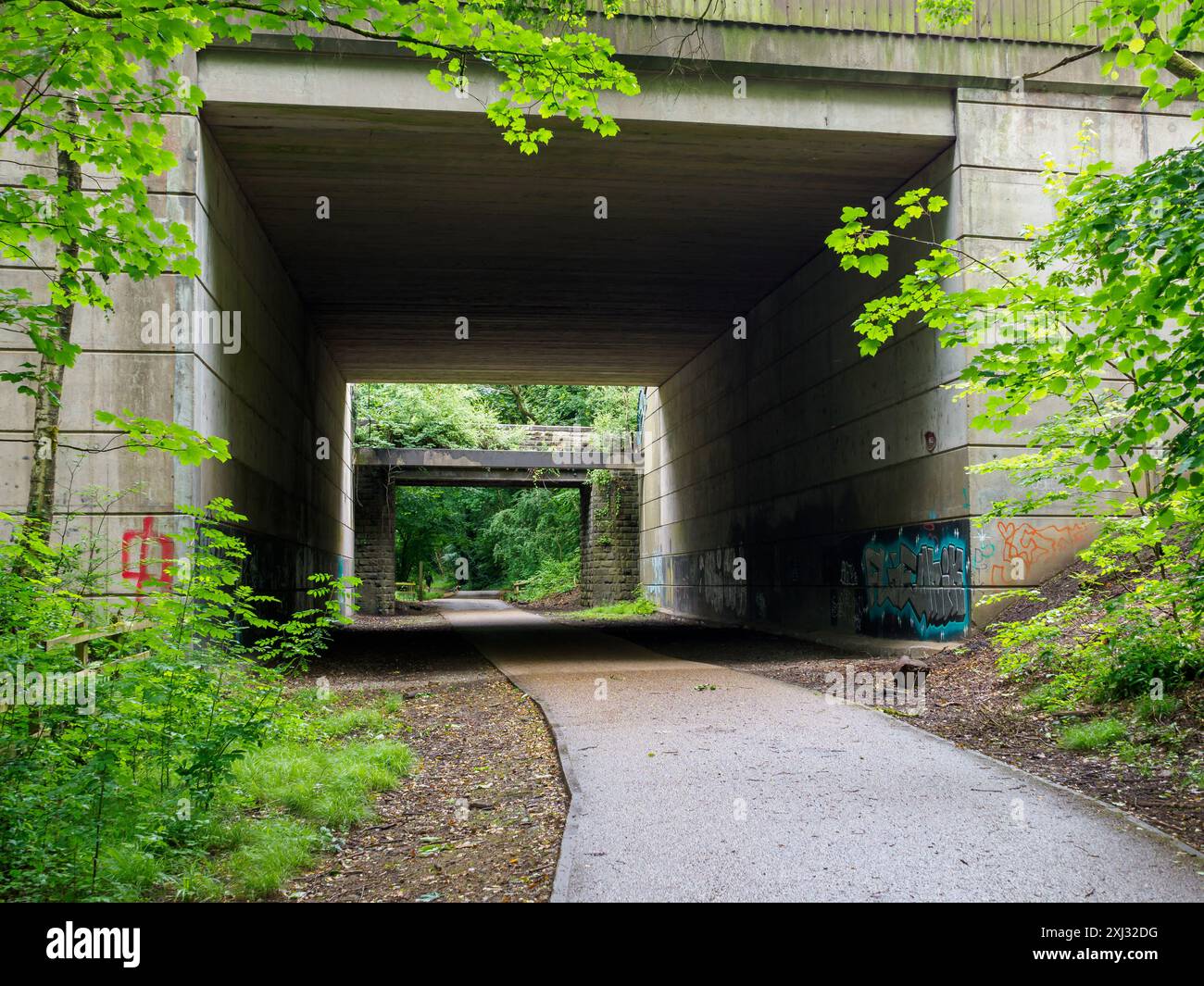 Walking through a tunnel of trees hi-res stock photography and images ...