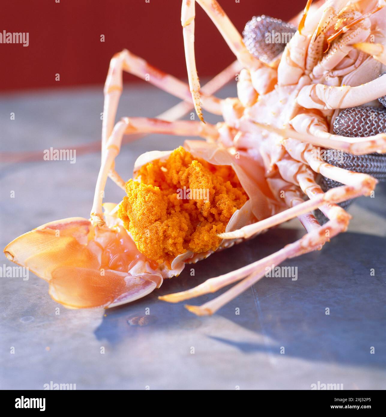 Lobster roe hi-res stock photography and images - Alamy