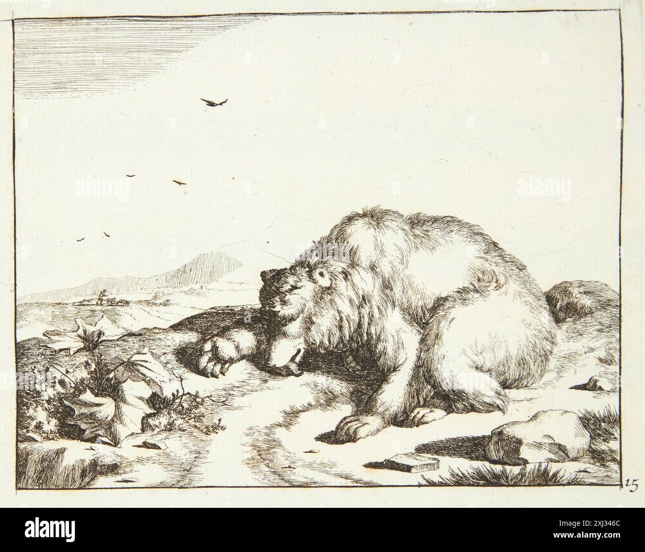 Etching by Marcus de Bye showing a bear lying with an outstretched paw ...