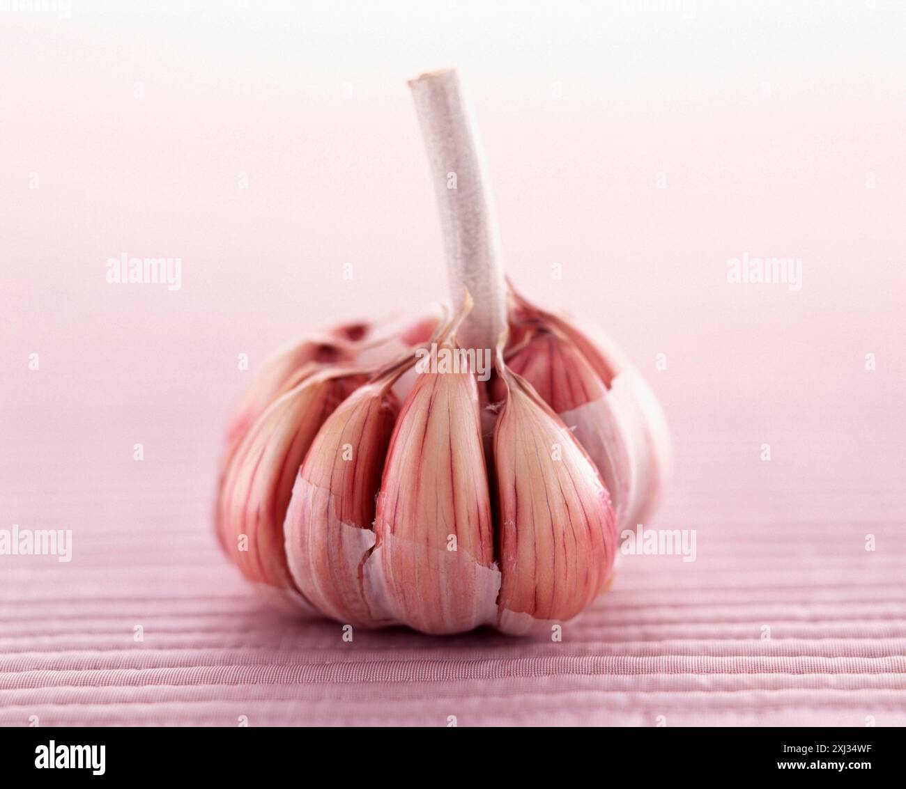 Garlic head cut out hi-res stock photography and images - Alamy