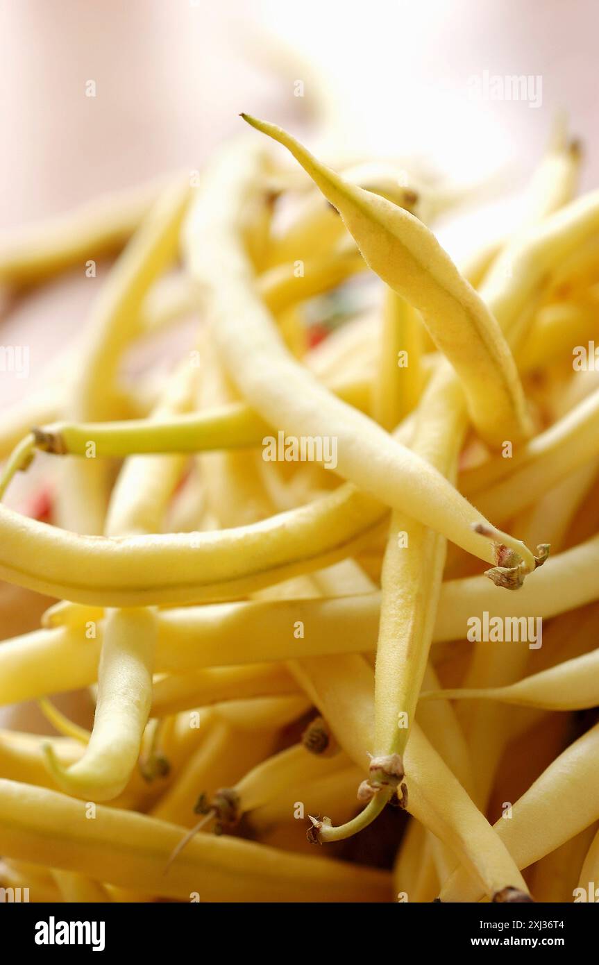 butter beans in pod Stock Photo - Alamy