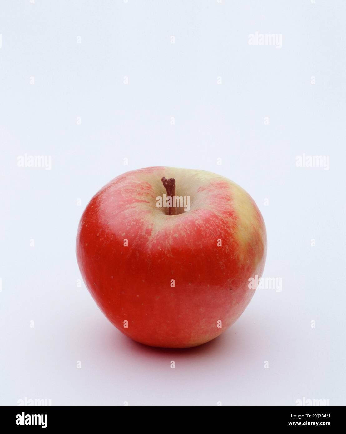Apple elstar hi-res stock photography and images - Alamy