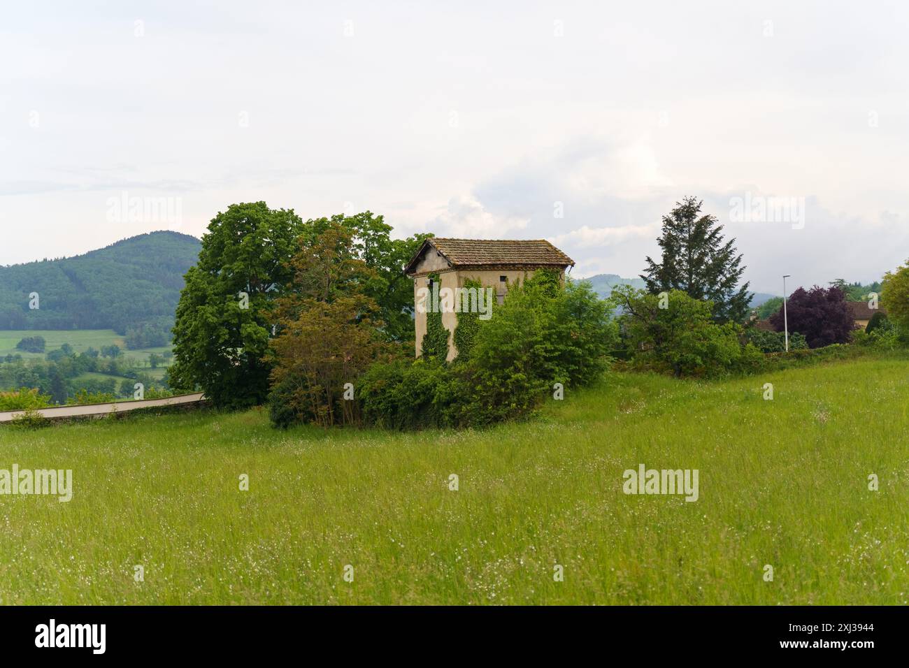 A weathered stone house sits amidst lush greenery on a hillside ...