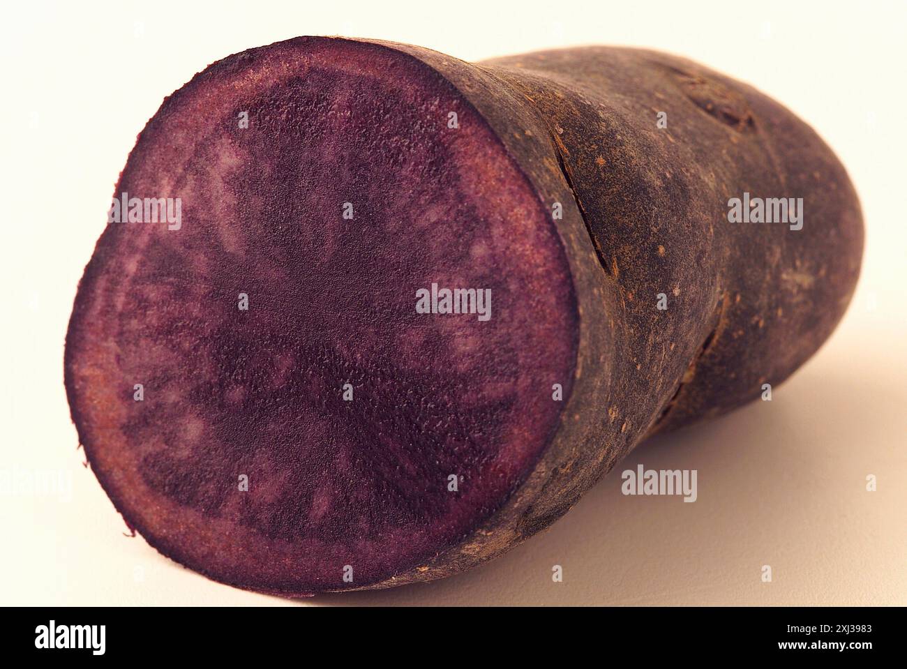 Raw purple potato cut in half Stock Photo - Alamy