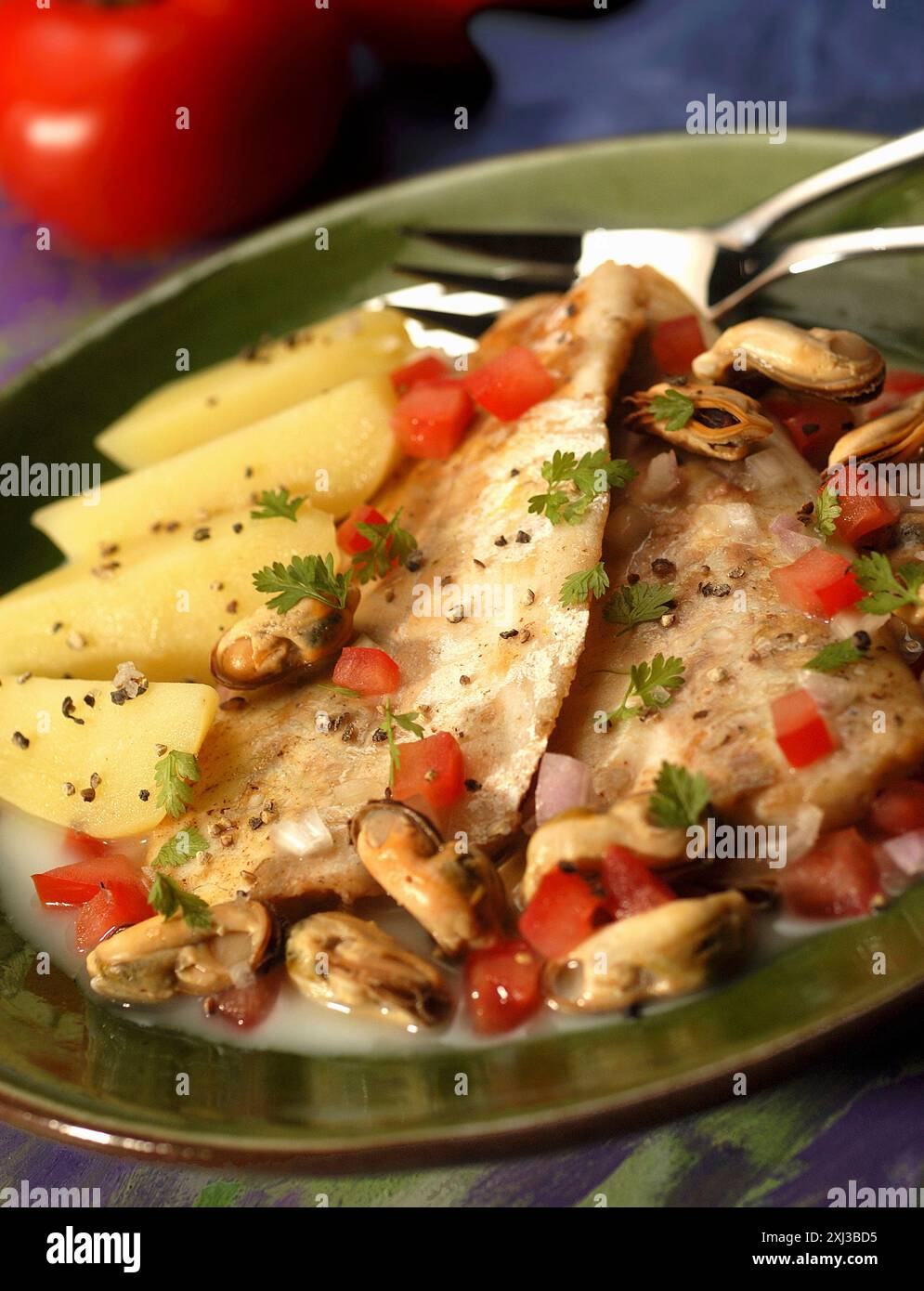 Meagre or croaker hi-res stock photography and images - Alamy