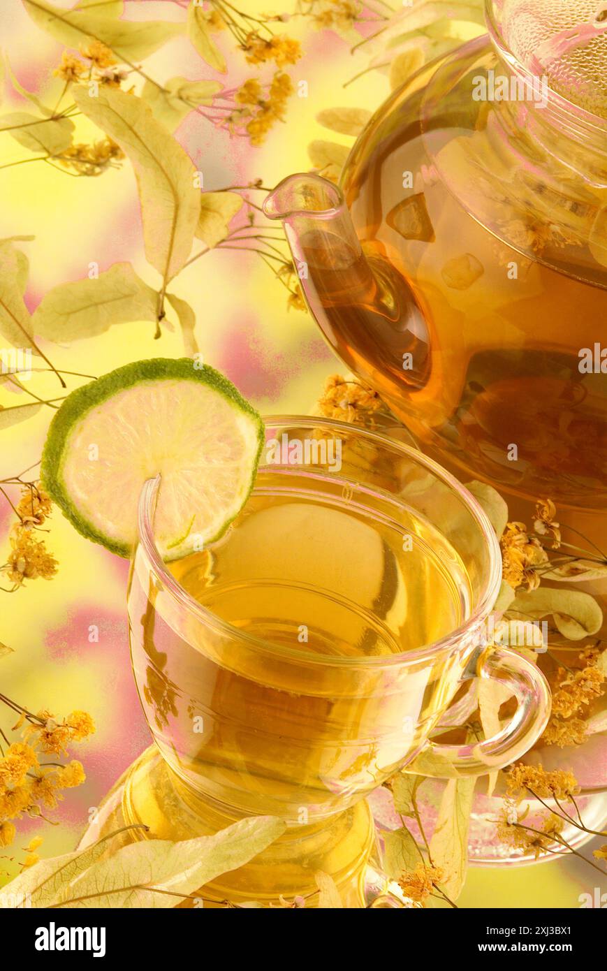 Cup lime blossom tea hi-res stock photography and images - Alamy