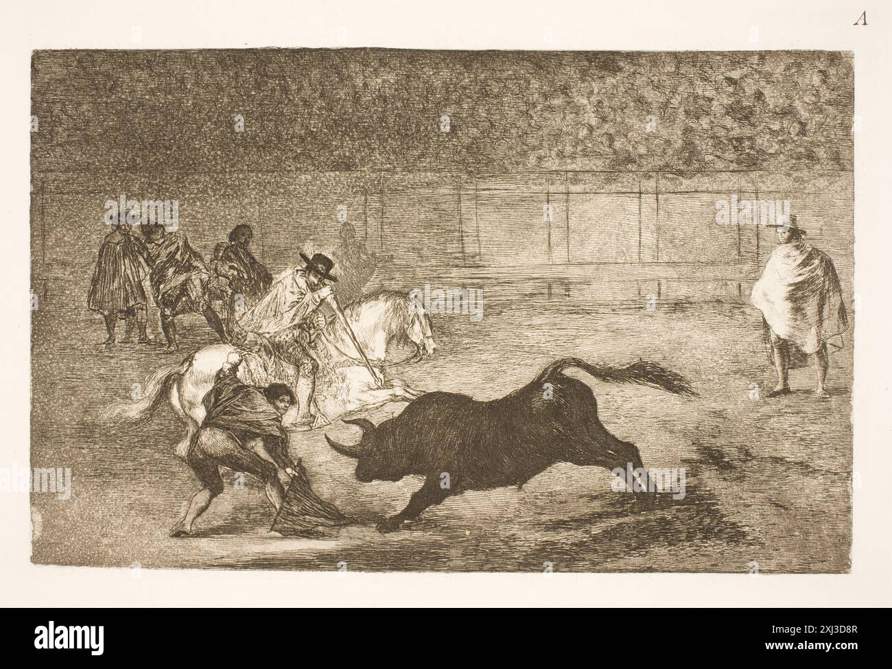 Engraving by Francisco Goya showing a Spanish rider breaking short ...