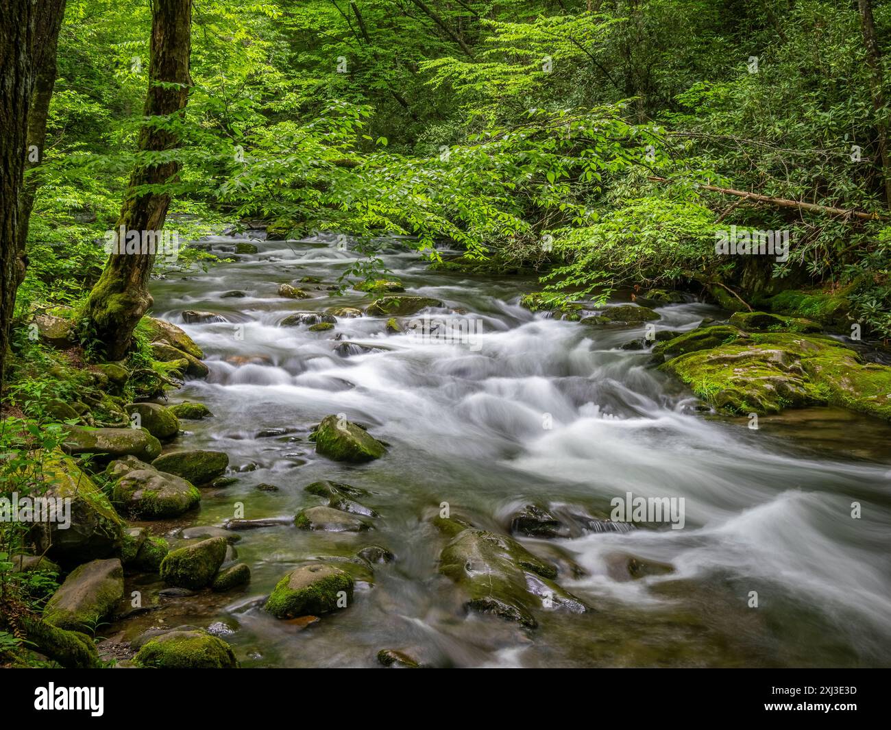 Oconaluftee River along the Newfound Gap Road in the Great Smoky ...