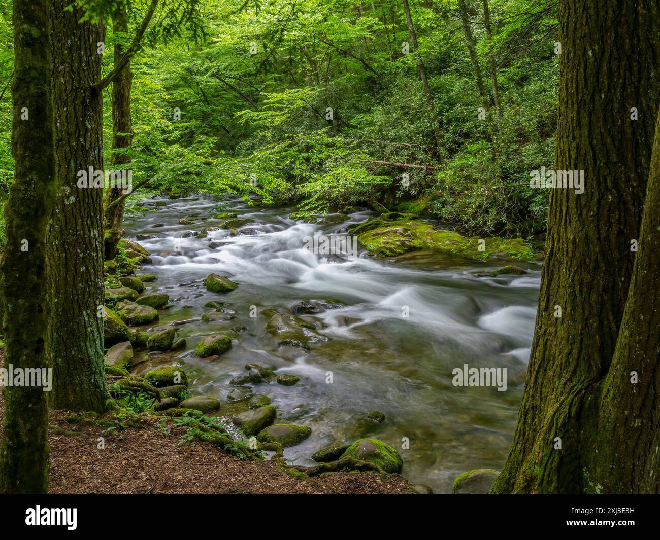 Oconaluftee River along the Newfound Gap Road in the Great Smoky ...