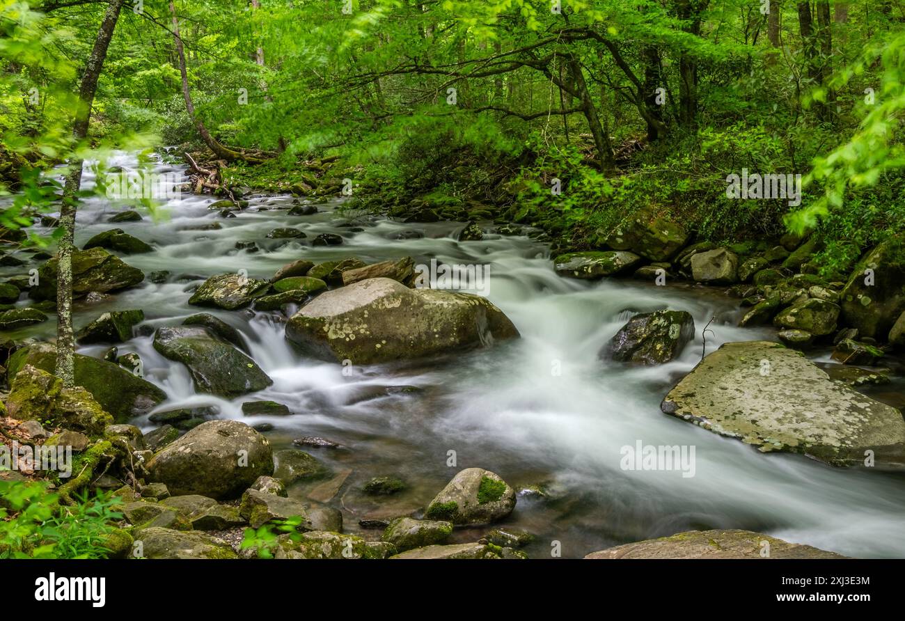 Oconaluftee River along the Newfound Gap Road in the Great Smoky Mountains National Park in ...