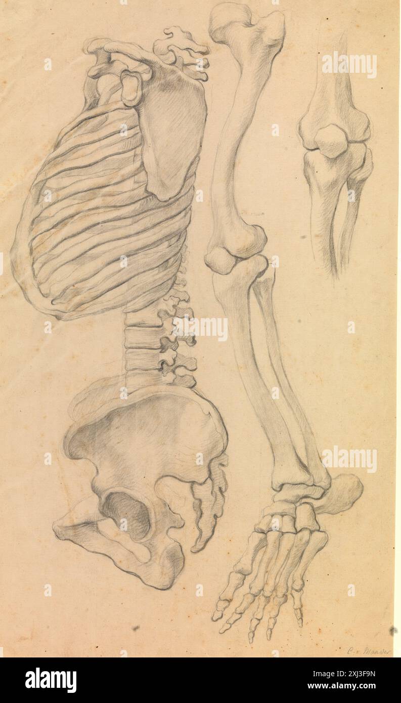 Chest and the left leg hi-res stock photography and images - Alamy