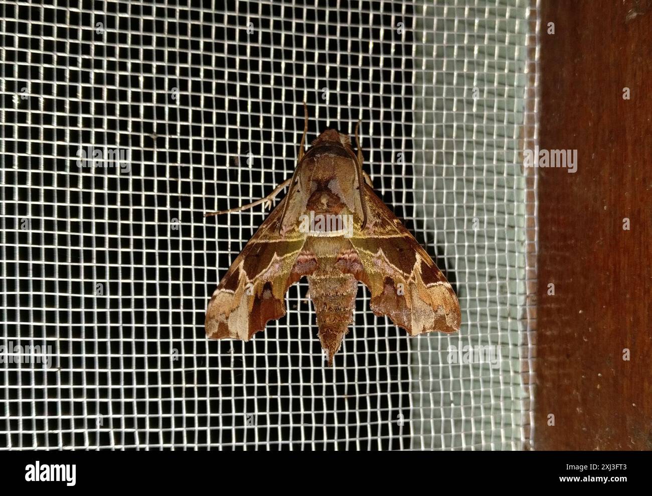 Japix hi-res stock photography and images - Alamy