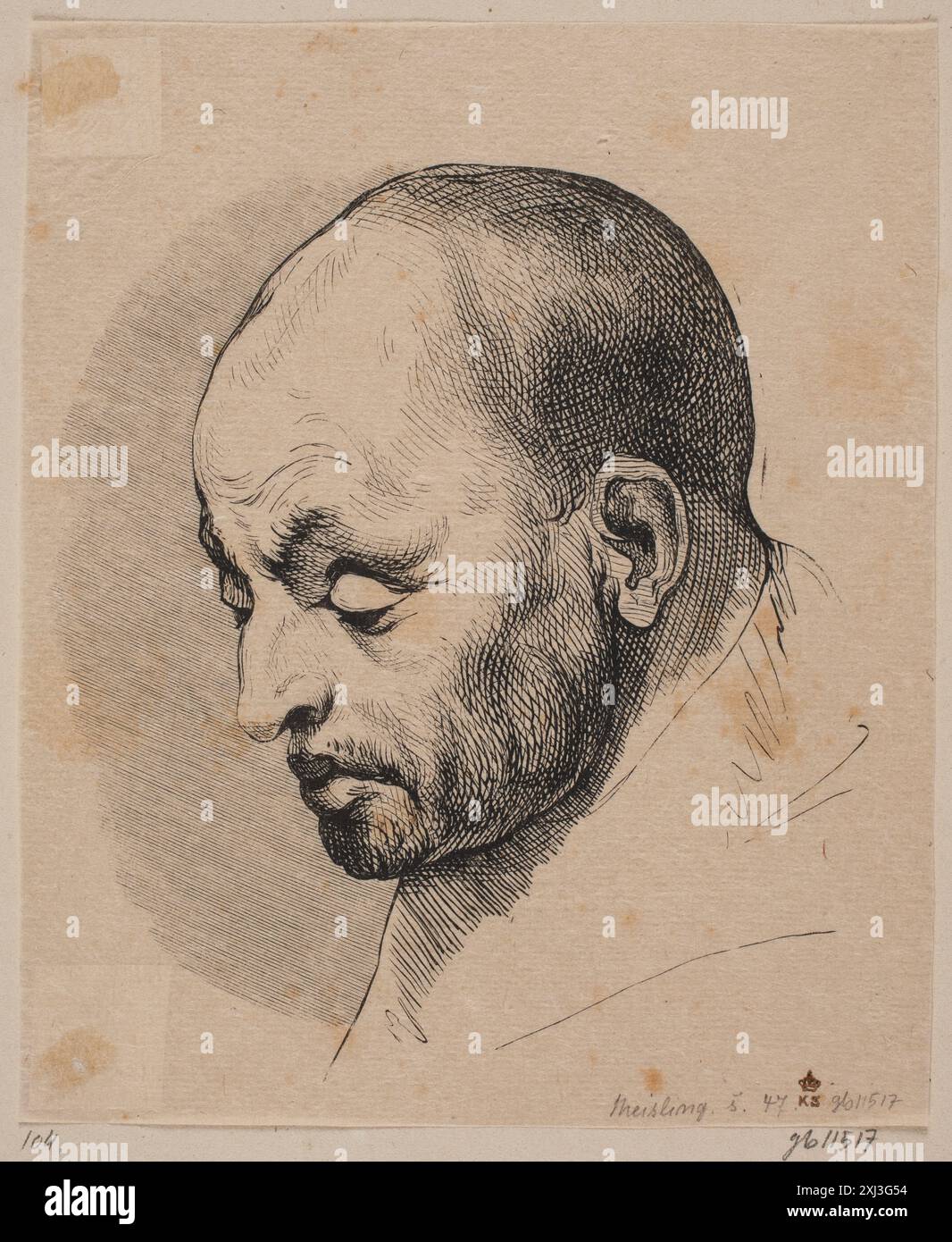 The head of a bald man Meisling, Peter Ludvig 1816 - 1872, Peters, C.C ...