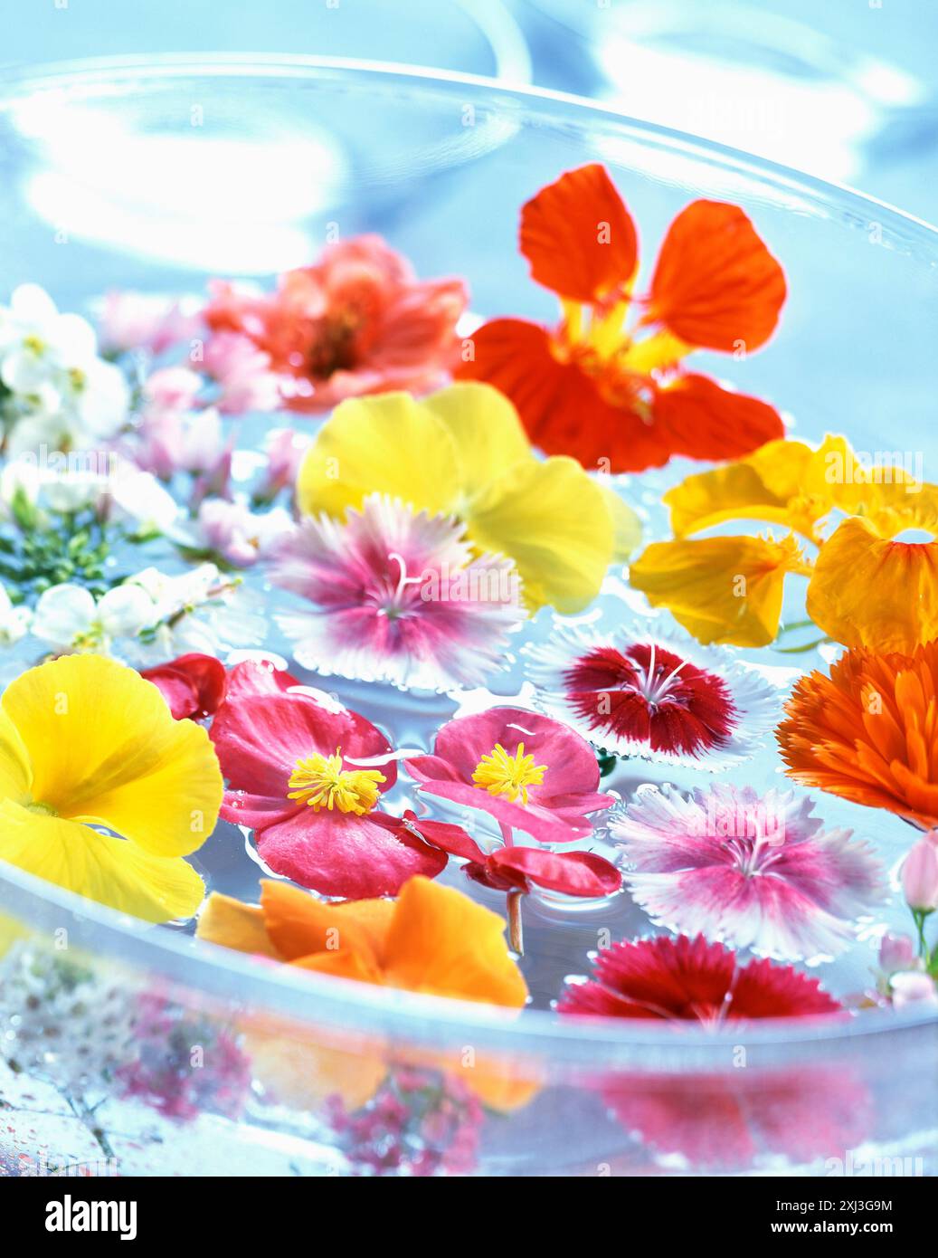 Selection of edible flowers Stock Photo - Alamy