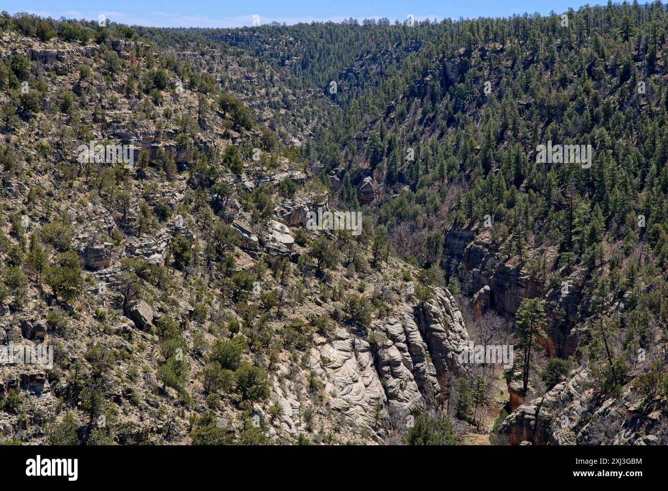 Rugged vertical walls of striated sandstone meander through Ponderosa ...