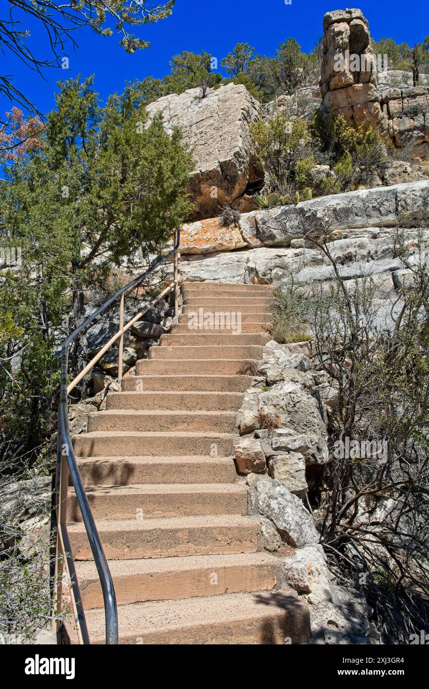 Concrete stairs climb up canyon wall on Island Trail of Walnut Canyon ...