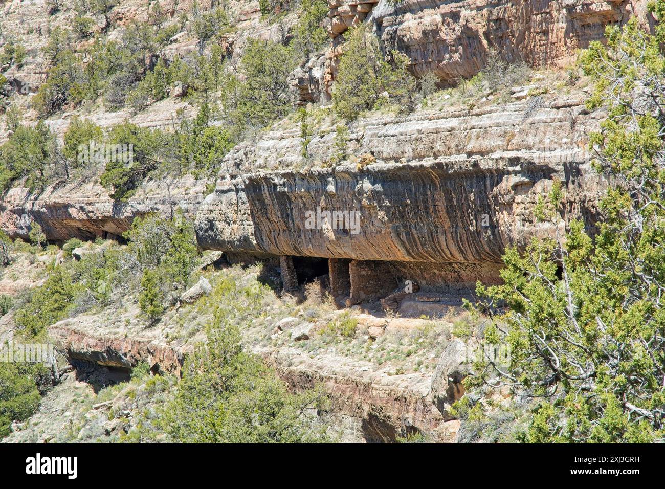 Ruins of cliff dwellings under limestone ledge on steep walls of Walnut ...