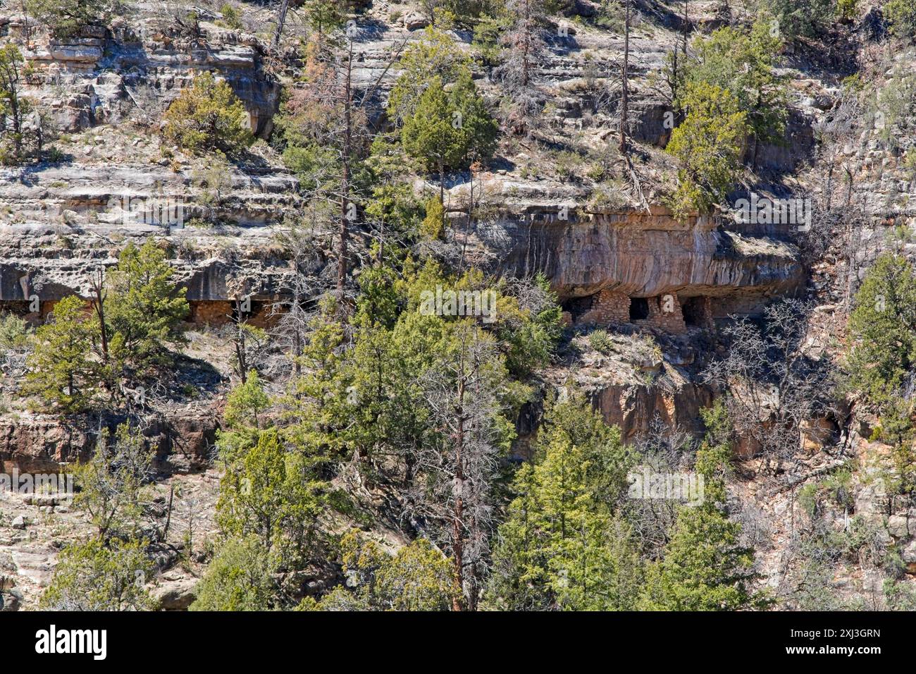 Ruins of cliff dwellings under limestone ledge on steep walls of Walnut ...