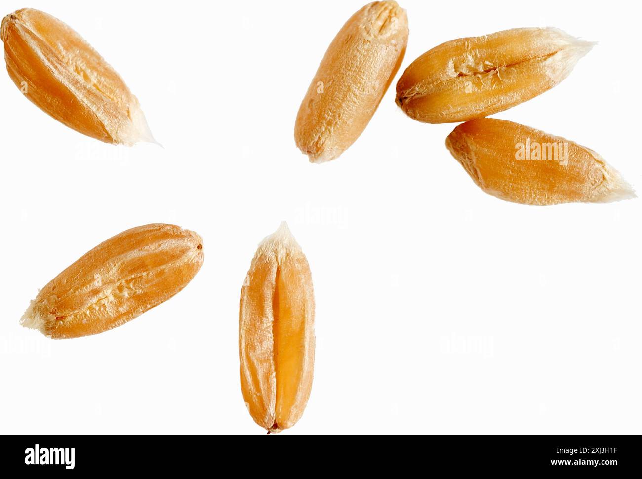Wheat cereal grains background hi-res stock photography and images - Alamy