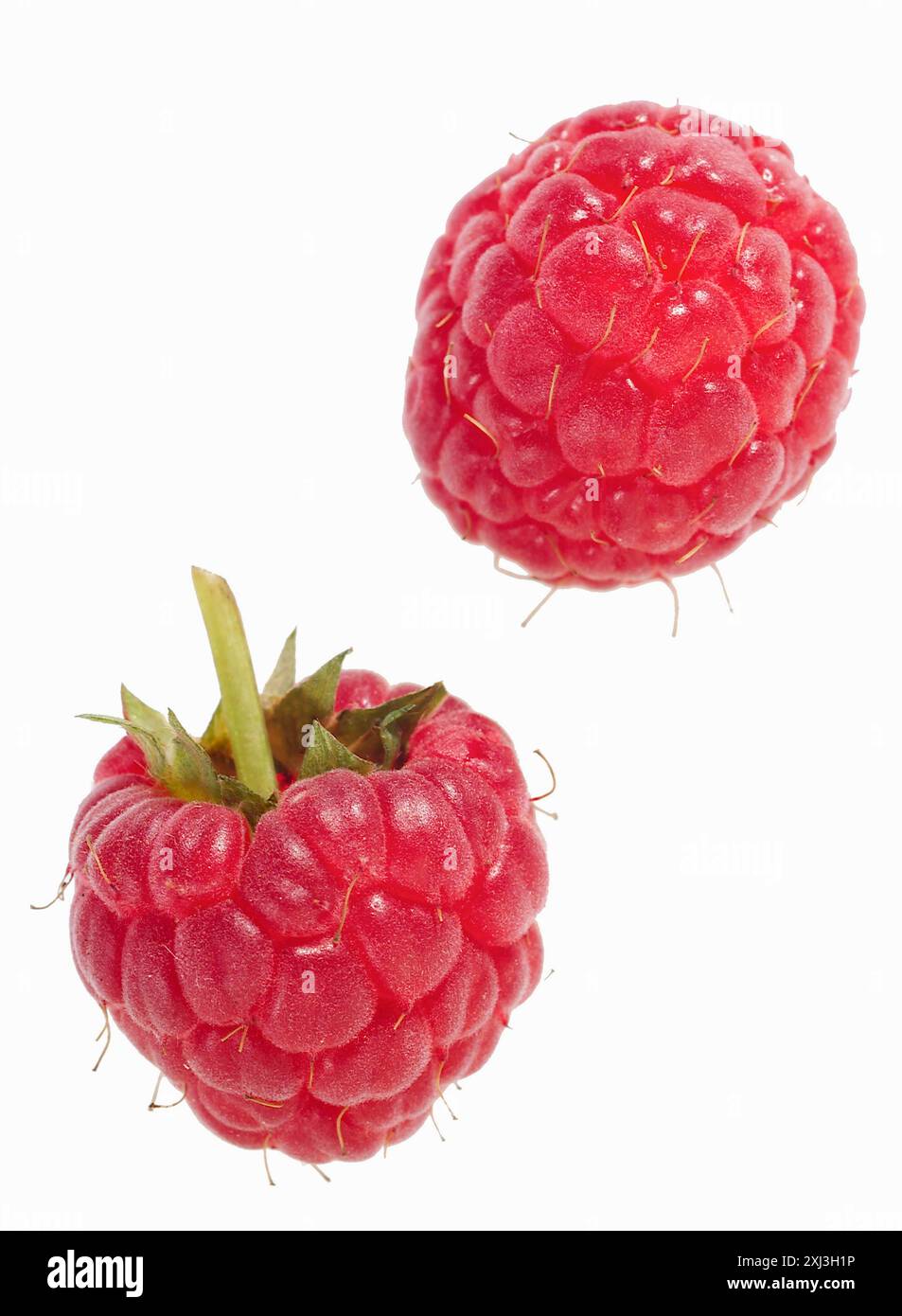 Two raspberries hi-res stock photography and images - Alamy