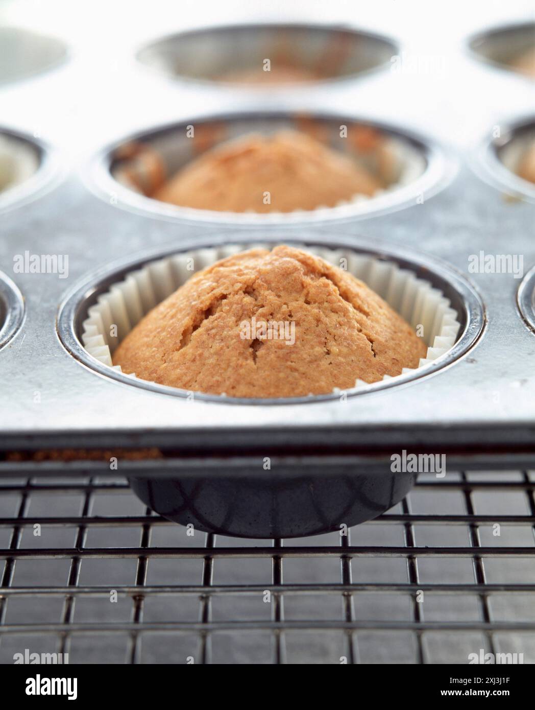 Cupcakes in a tin cooking mould Stock Photo - Alamy