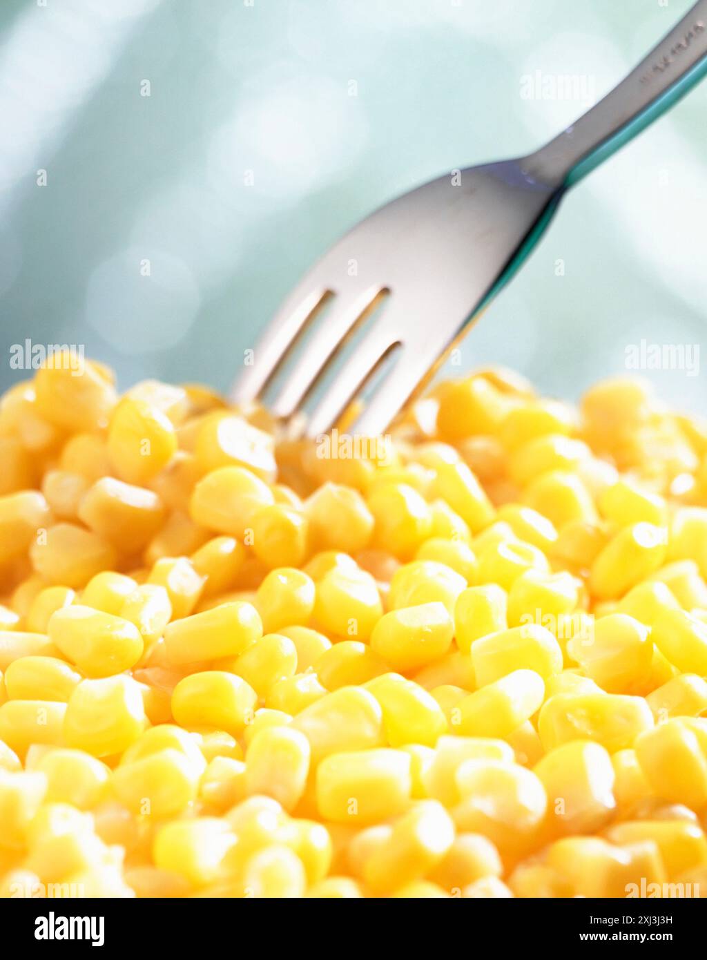 Plate of corn and fork Stock Photo - Alamy